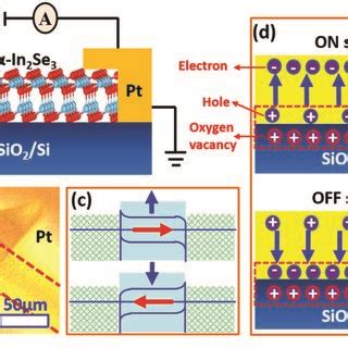 A And B Schematic And Optical Micrograph Of The Planar Device Based Download Scientific