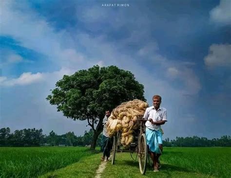 গ্রাম বাংলার শ্যামল প্রকৃতি