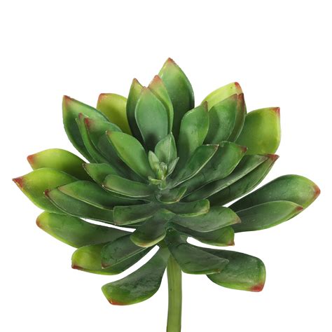 Vickerman 10 Artificial Green Succulent Stem Set Of 3