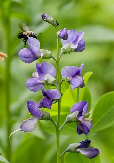 How Do You Define Functionality