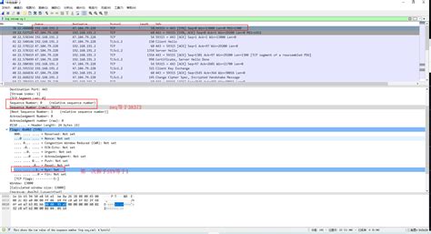 Tcp协议 Csdn博客