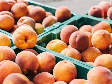 Benefits Of Peach Page Gama Fm