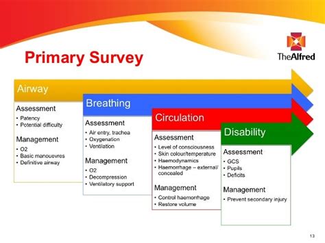 Primary Survey Jeremy Stevens