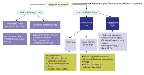 Hyperkalemia Diagnosis Algorithm Hyperkalemia Diagnosis Grepmed
