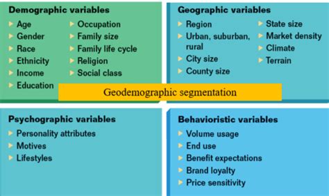 Segmentation Flashcards Quizlet