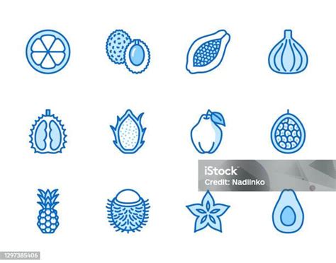 이국적인 과일 베리 플랫 라인 아이콘 세트 파파야 드래곤 과일 람부탄 무화과 망고스틴 아보카도 스타 프루트 벡터 일러스트레이션 열대 식품 상점에 대한 개요 표지판 파란색