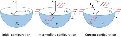 Figure 1 From Indentation Of A Prestretched Strain Stiffening Elastomer