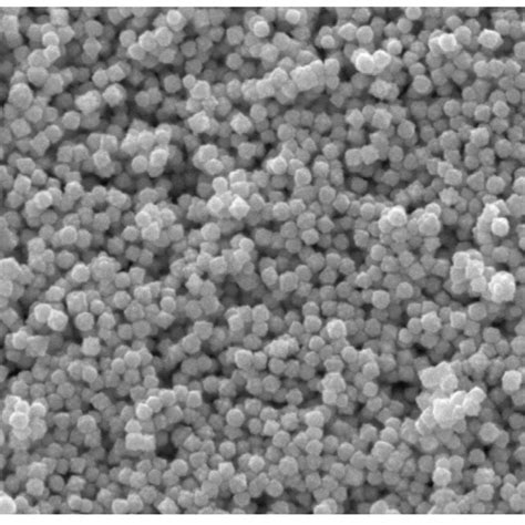 Initial Tungsten Nanoparticles After Synthesis Using Msga Method Download Scientific Diagram