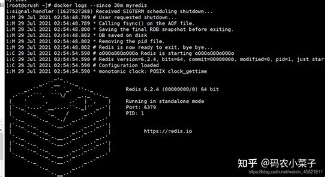 史上最详细docker安装redis （含每一步的图解）实战 知乎