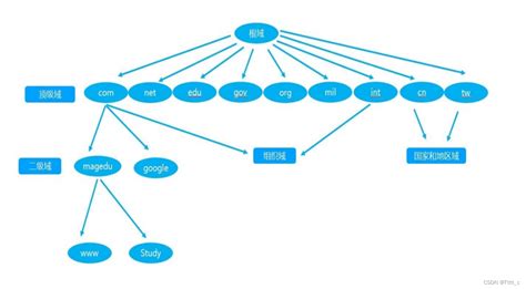 dns服务原理 和 实操 实操题 dns csdn博客