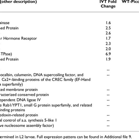 Expression Of Promoter Gfp Reporters For Transcripts Enriched In Larval Download Table