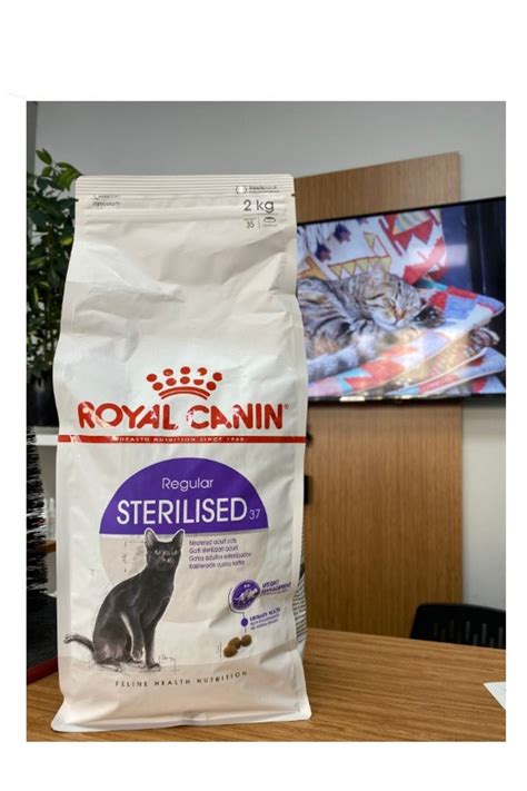 Royal Canin Regular Sterilised 37 (2 kg) Kısırlaştırılmış Kedi Kuru ...