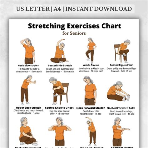 Senior Stretching Exercises Seated And Standing Stretch Workout Chart