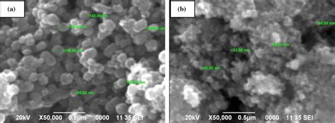 SEM Images Of TiO Products At Various H O TiOSO Volume Ratio Of A Download Scientific
