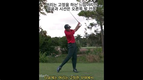 골프 머리고정의 정답을 알려드립니다 머리고정 안하면 정타 안맞습니다 Youtube