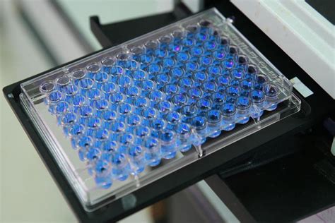30 Facts About Microplate Reader