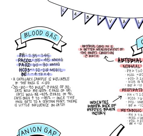 Neonatal Lab Values Nicu Nursing And Nnp Notes Etsy