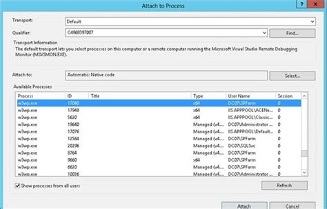 How To Identify And Attach Correct W WP Process In Visual Studio While Debugging Debugmonitor