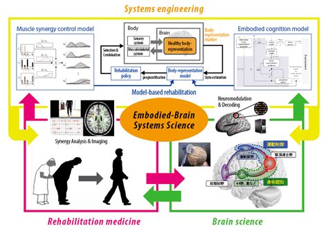 Embodied Brain Systems Science Website