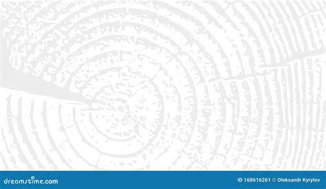 Annual Tree Growth Rings Logo Cross Section Of A Tree Trunk Background Stock Illustration