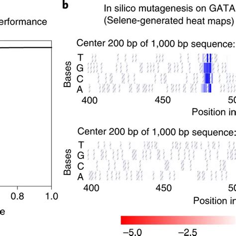 Visualizations Generated By Using Selene To Train And Apply A Model To