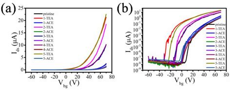 A Ids Vbg Curves Of The Fet At Vds Of 1 V Under Alternatively Download Scientific Diagram