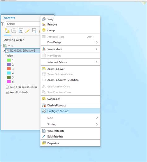 Build The Attribute Table Of Raster Datasets In A Esri Community