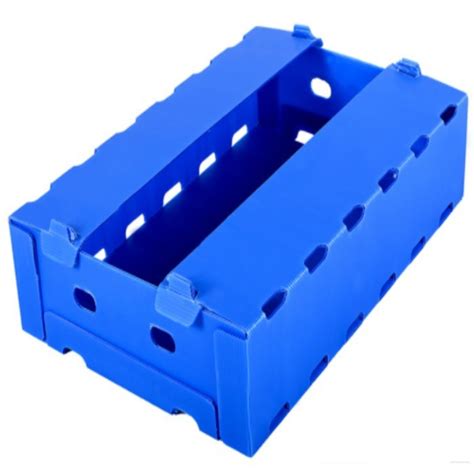 China Vegetable Packaging Box Manufacturers Suppliers Customized