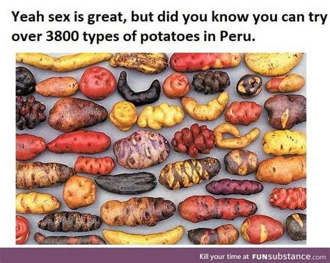 Sexy Potatoes FunSubstance