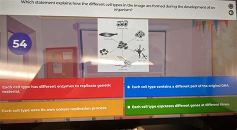 Solved Which Statement Explains How The Different Cell Types In The