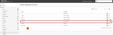 How To Setup Unbound Dns On Opnsense