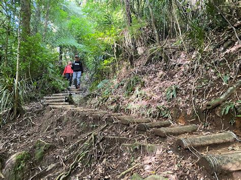 45 Reviews Of Te Aroha Summit Track Trail Head Other In Te Aroha Waikato