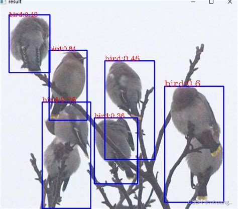 最细致讲解yolov8模型推理完整代码 （前处理，后处理）yolov8推理代码 Csdn博客