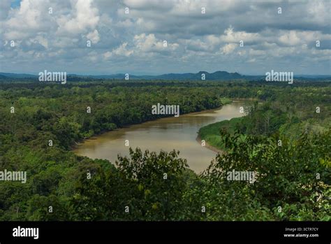 View From A Hilltop Overlooking The Kinabatangan River Surrounded By