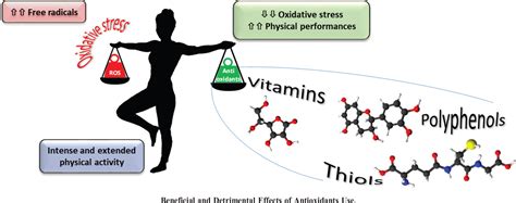 Editors Choice Beneficial And Detrimental Effects Of Antioxidants Use In Sports How Is It