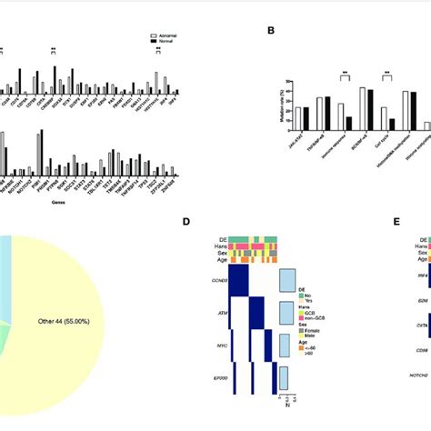 Frequent Gene Mutations And Involved Pathways In Diffuse Large B Cell Download Scientific