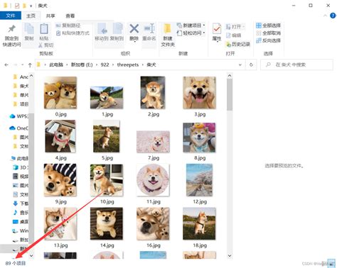 图像分类模板——有数据集即可实现图像分类任务图像分类数据集制作 Csdn博客 图像分类模板——有数据集即可实现图像分类任务图像分类数据集制作 Csdn博客