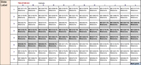 Tma042 Melanoma Pdx Tumor Microarray Slides Crown Bioscience