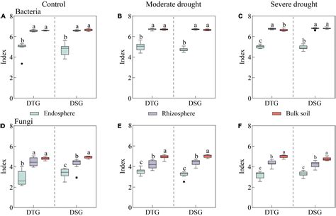 Frontiers | Character variation of root space microbial community composition in the response of ...