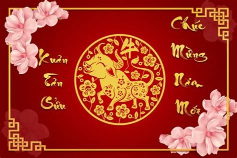 Joy Nguyen Joy On Linkedin Level Salary Contactpoint Hcm Java