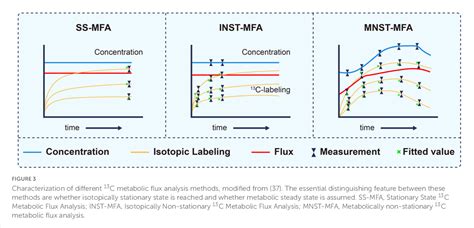 Figure 1 From 13c Metabolic Flux Analysis Classification And