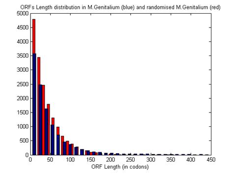 mycoplasma example of gene finding with matlab computational genomics