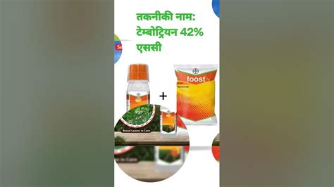 Bayer Laudis Foost Herbicide Youtube