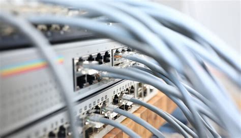 Vlan Bilder Stock Fotos Videos Adobe Stock