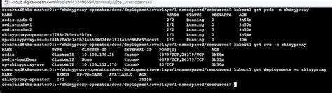 Deployment Of Application On Shinyproxy Operator Kubernetes