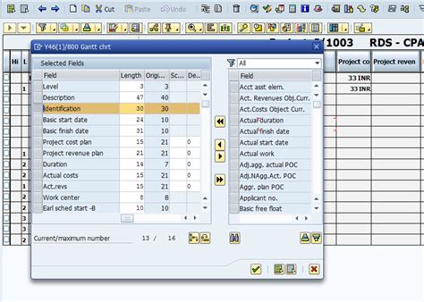 Project Idwbs Namenetwork Name Is Not Showing In Sap Community