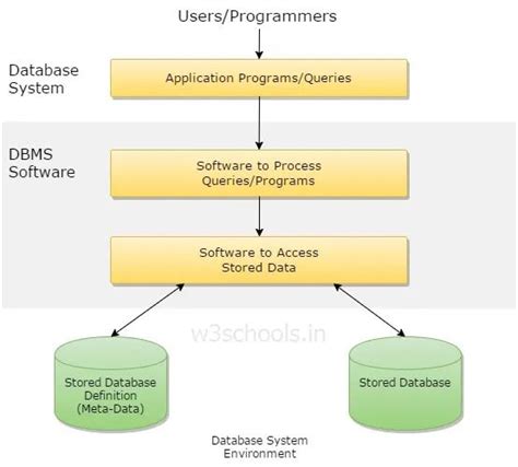 Database Management System Environment Liliannaewabecker