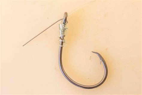 Target Hooks 01 Fish Care