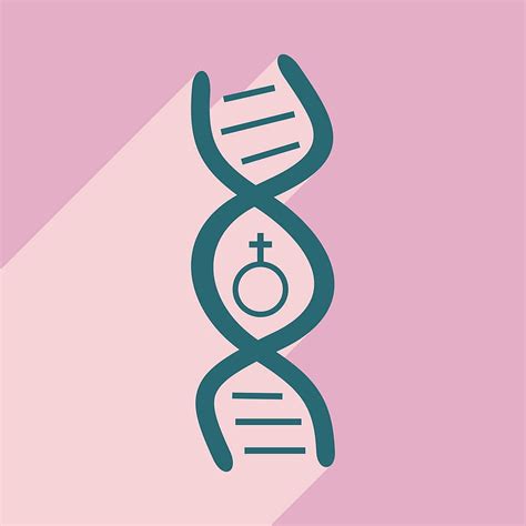 그림자 아이콘 및 모바일 응용 프로그램 유전자 벡터와 평면 Ai Eps Uidownload