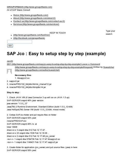 sap jco easy to setup step by step example groupofbasis pdf